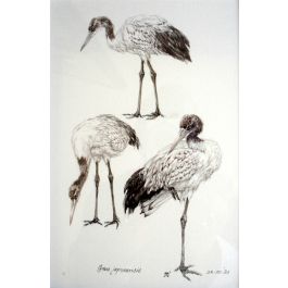 Peter Vos, aquarel, 1984