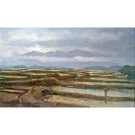 Menno van Meeteren Brouwer, Een sawah